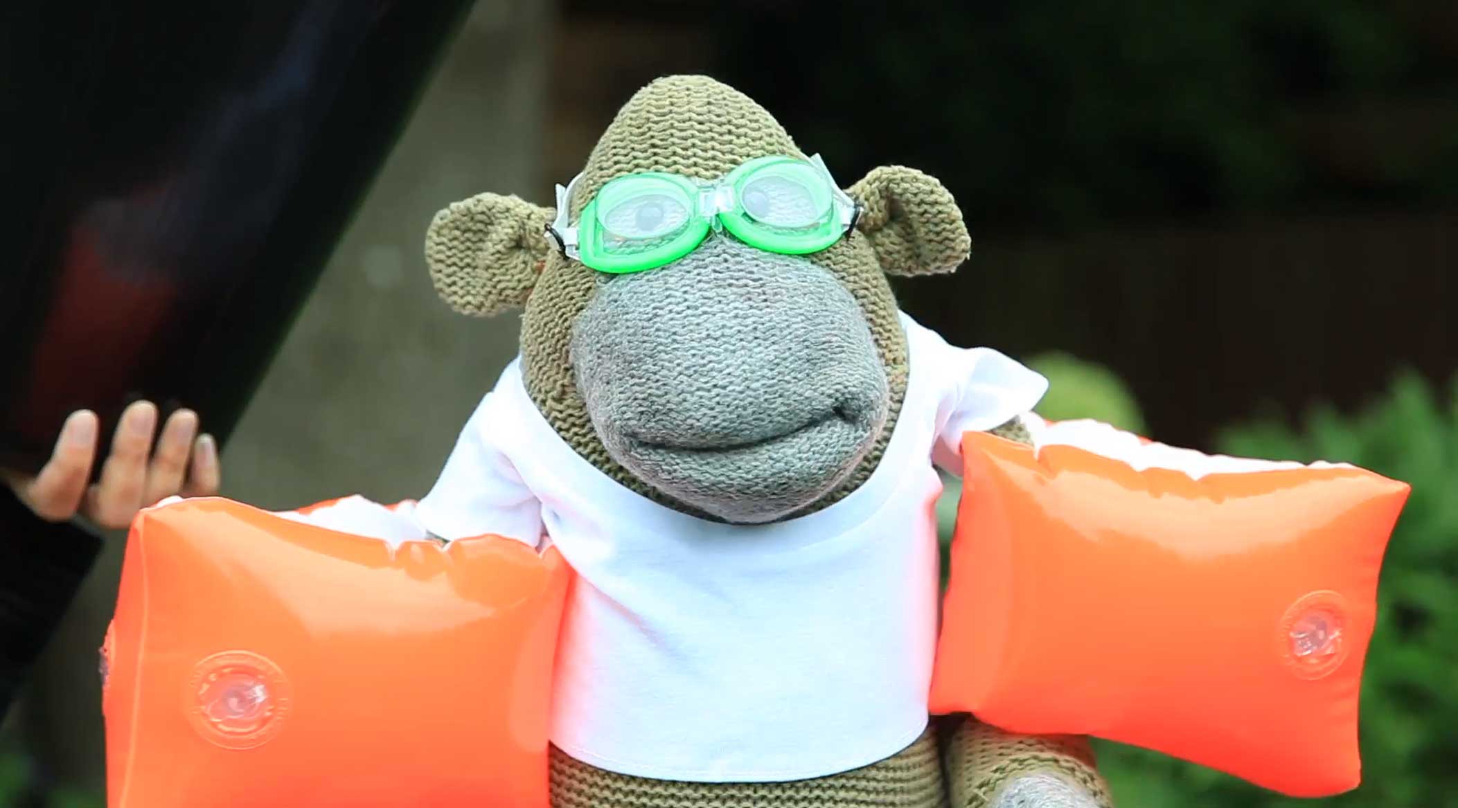 Monkey's Ice Bucket Challenge - Dai Roberts